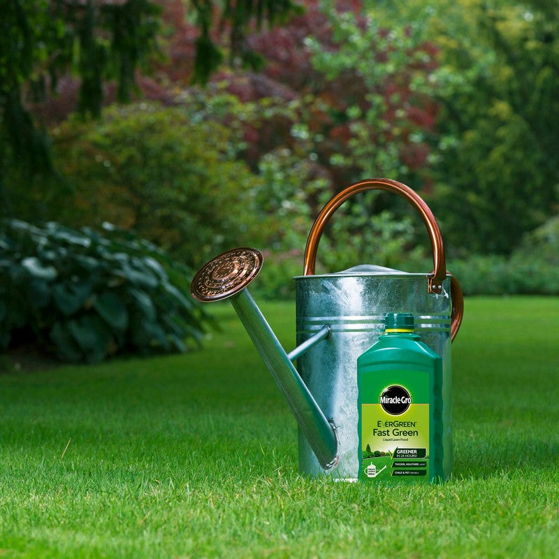 Miracle Gro 1L Fast Green Lawn Food - 100 Square Metres Coverage only 9 ...