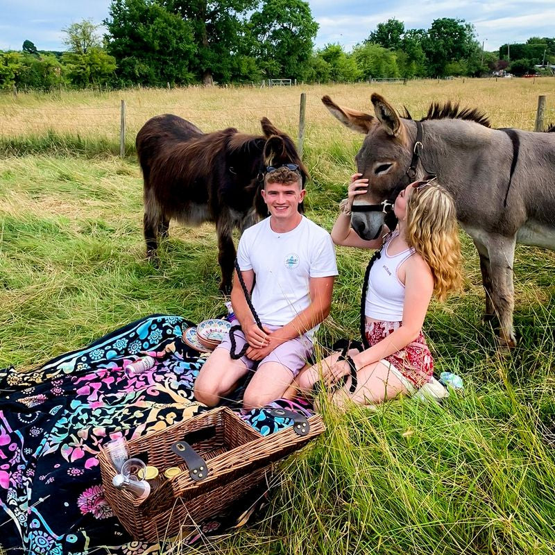 Donkey Picnic for Four at Dashing Donkeys - Gift Experience only 139.0 ...